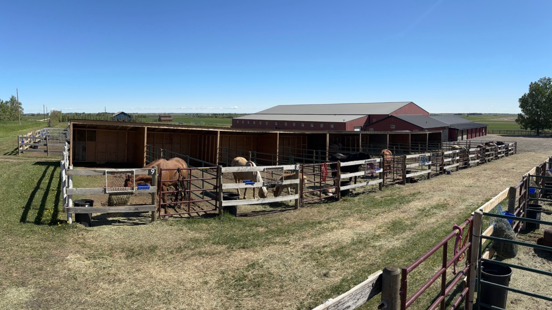About Fen Vet | Vet In Airdrie, AB