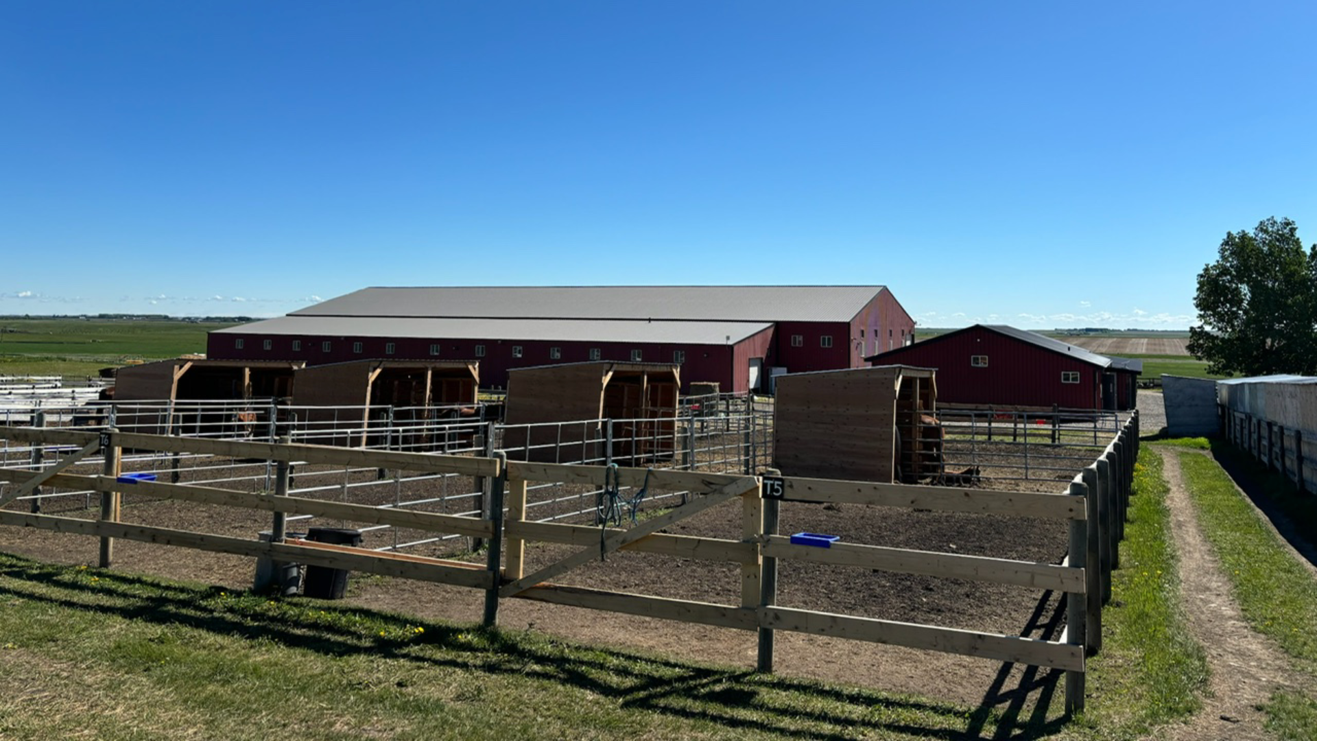 Veterinarian In Airdrie, AB | Fen Vet